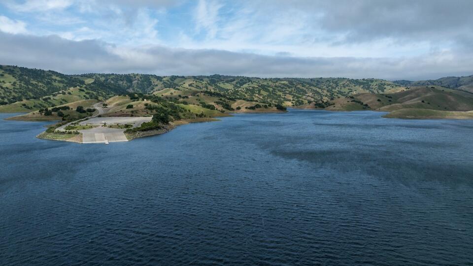 California Ramps Up Fight Against Invasive Golden Mussels After San ...