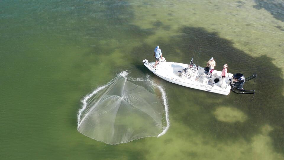 Reel Talk: How to throw a cast net - NewsBreak