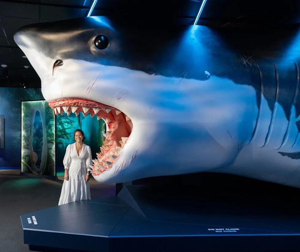 Gigantic 50-foot shark dives into Houston museum for jaw-dropping new ...