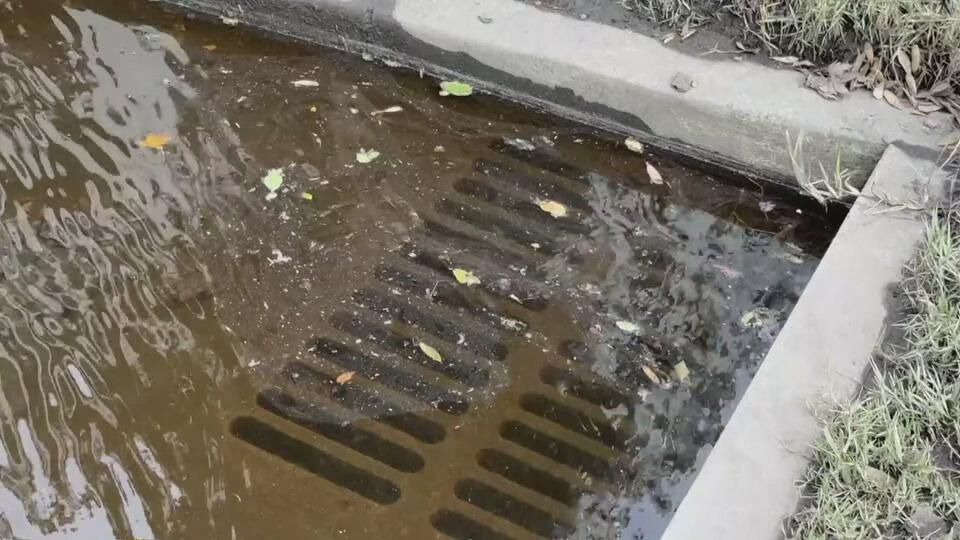 Flesh-eating bacteria cases on the rise in Florida after back-to-back ...