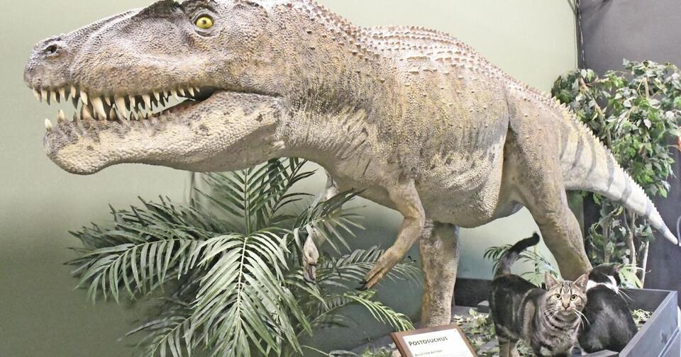 Catasaurus & Sabertooth: Branson Dinosaur Museum now featuring dinos ...