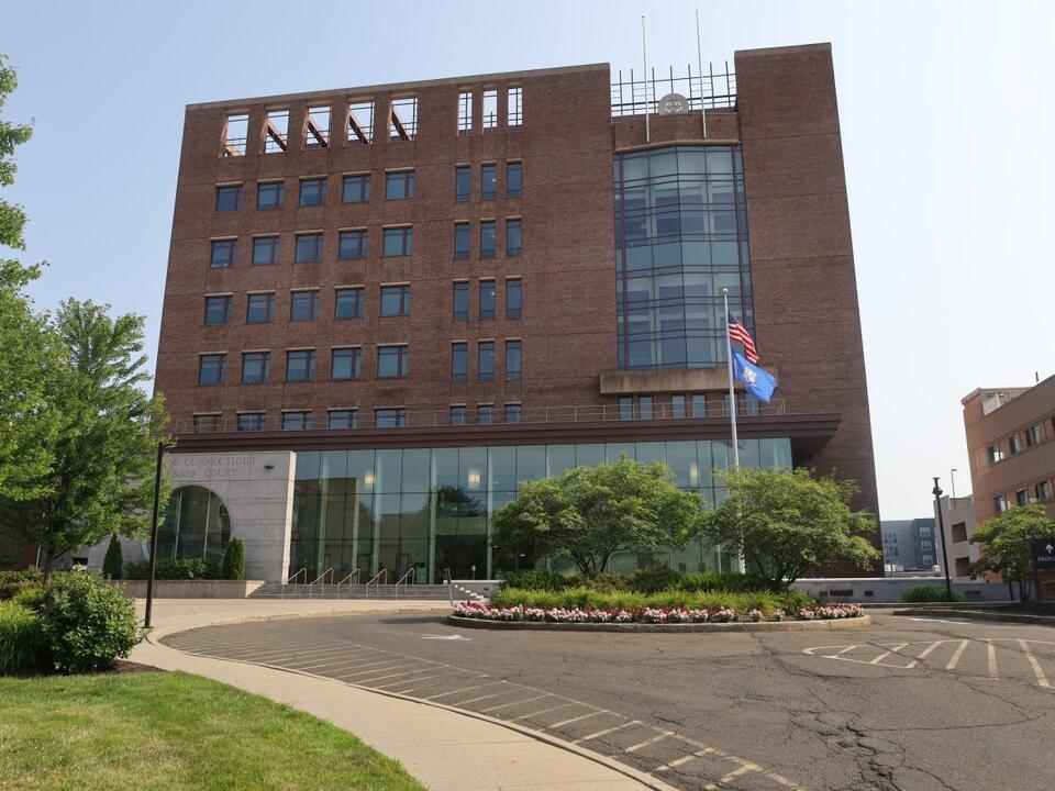 Troconis Granted Public Defender in Move to Appeal Conviction in Dulos ...