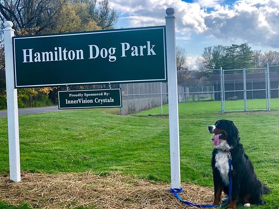 Watch: Brave Troopers Rescue Dog From Icy New York Canal - NewsBreak