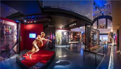 30 Years of BODY WORLDS / A Success Story That Has Changed the Way We ...