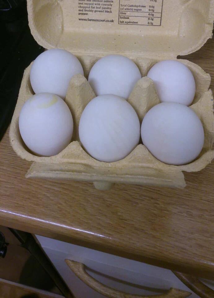 10 Types of Eggs, Their Taste Profiles and Best Uses - NewsBreak