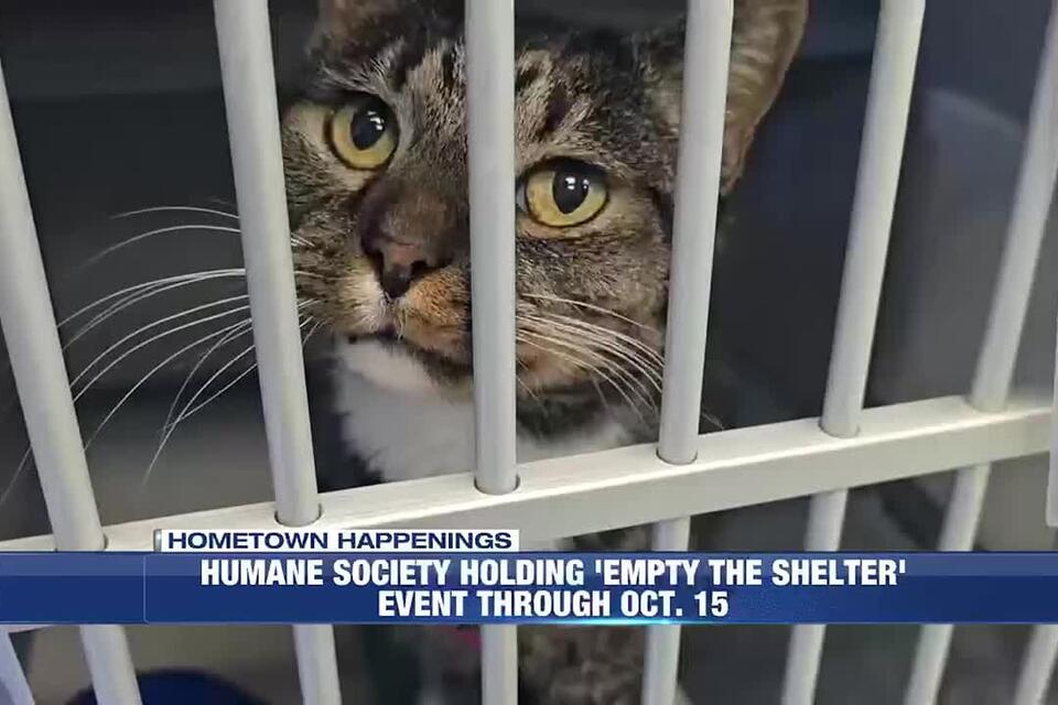 Bowling Green-Warren County Humane Society holding 'Empty the shelter ...
