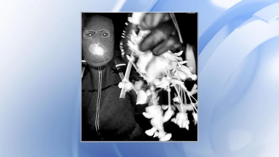 Nancy Guthrie kidnapping brings Wake County residents deja vu of Frank ...