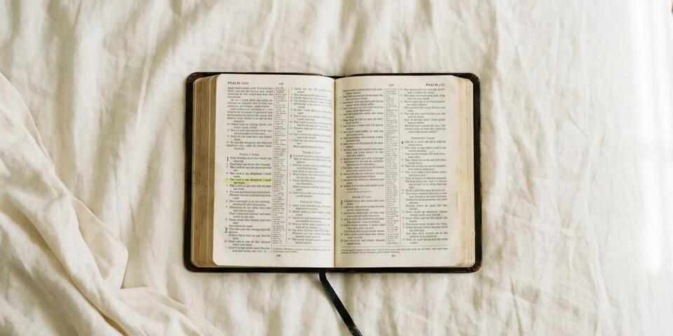 God Turns Struggles Into Good (The Promise of Romans 8:28) - NewsBreak