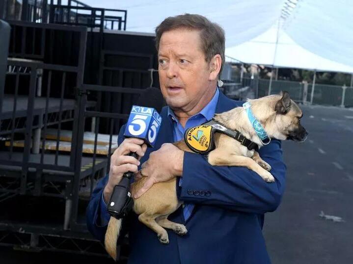 Hollywood Uncensored's Sam Rubin dies aged 64 after being rushed to ...