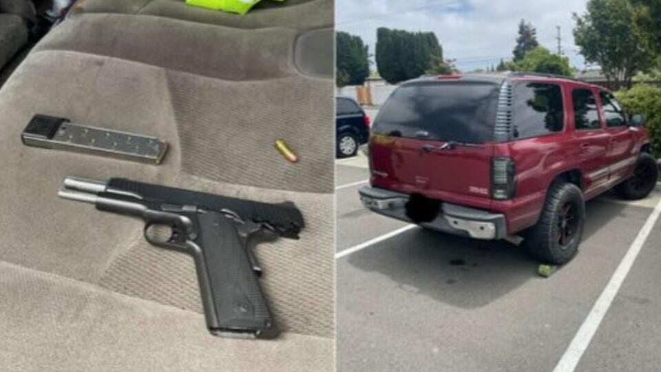 Driver arrested, accused of firing shots at Tesla in road rage incident ...