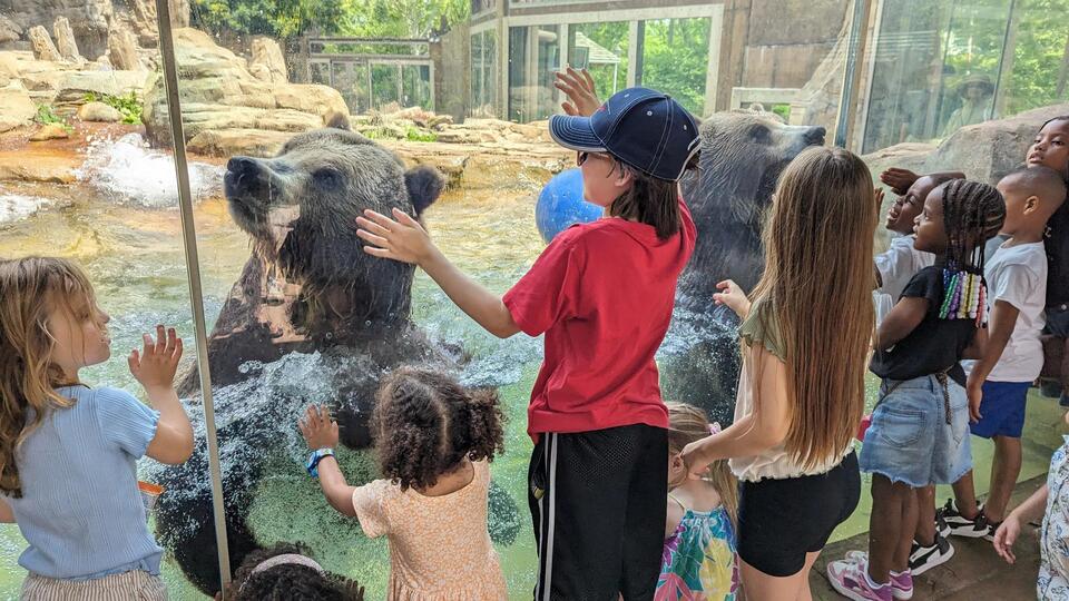 St. Louis Zoo to start screening for "concealed weapons" - NewsBreak