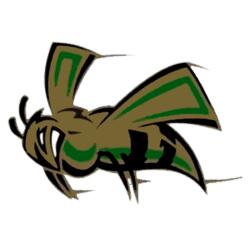 Mineral Springs School Board Approves Transfers and Salary Schedule ...
