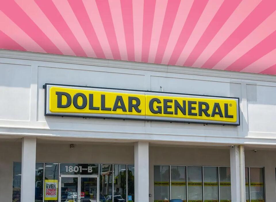 11 Best New Dollar General Decor Finds Under $15 - NewsBreak