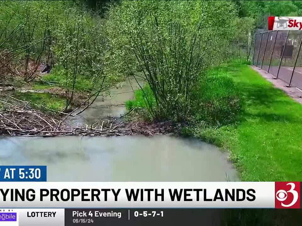 DEC outlines wetland building policies