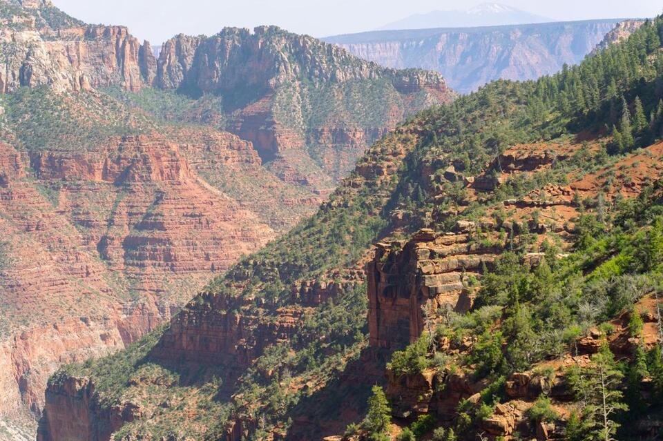 North Rim Will Reopen This Year, But No Lodging Available - NewsBreak