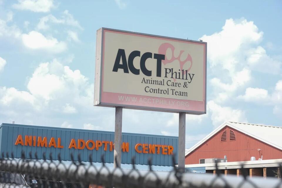 For the next 4 days, adoption fees at ACCT Philly will be waived ...