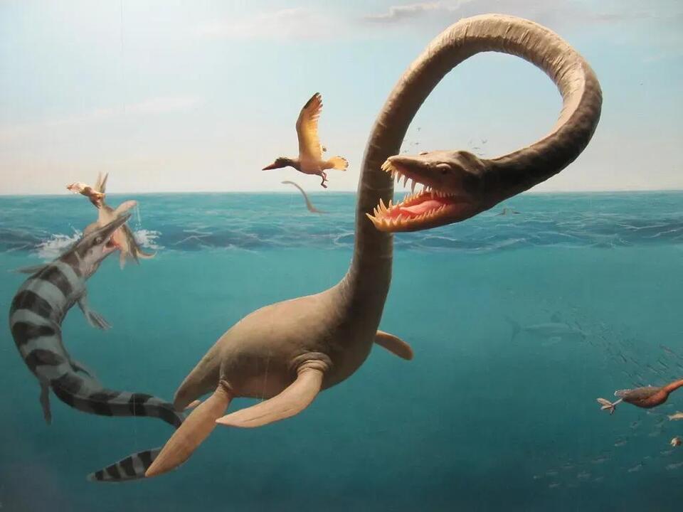 The Era of Giant Sea Monsters Was More Terrifying Than You Think ...