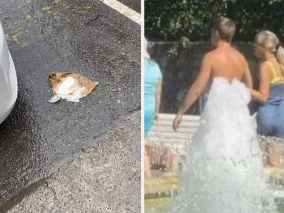 19 Of The Most Painfully Confusing Photos To Ever Exist On The Planet