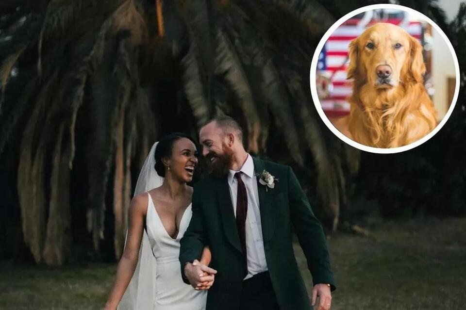 Bride Bans Groom’s Dog From Attending Wedding: ‘Hard No’ - NewsBreak