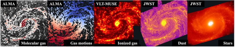 Ohio State astronomy professor Adam Leroy awarded national Henry Draper ...