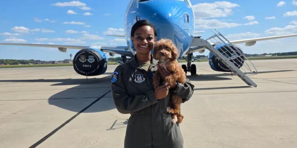 Air Force member creates dog treat business while serving country ...