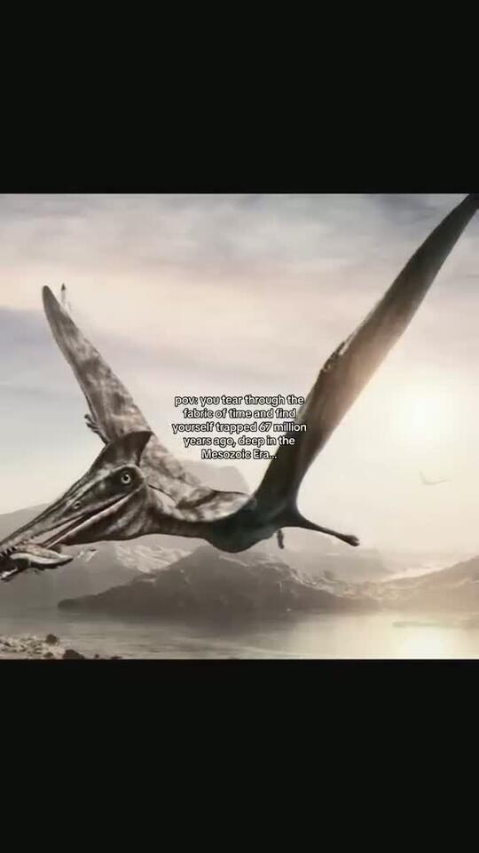 Pterosaurs were flying reptiles that lived during the Mesozoic Era from ...