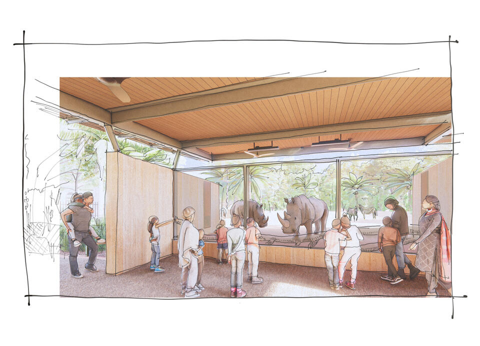 Houston Zoo Begins Multi-Year Africa Habitat Upgrades - NewsBreak