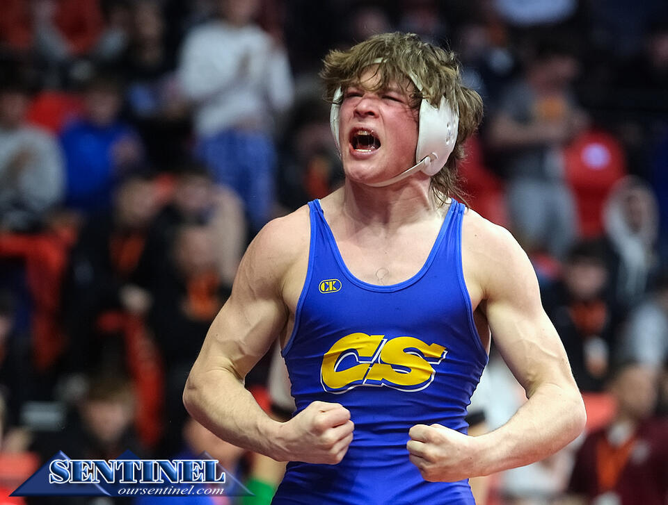 State Wrestling |Sandburg's Ryan Hinger finishes third at state - NewsBreak