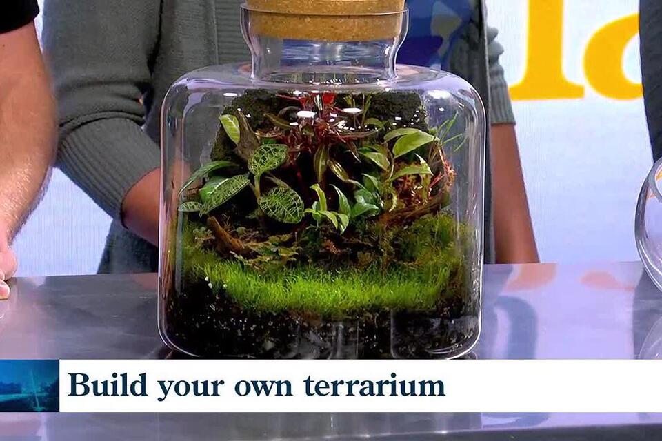 Pangaea Brewing Co. hosts DIY terrarium workshop - NewsBreak