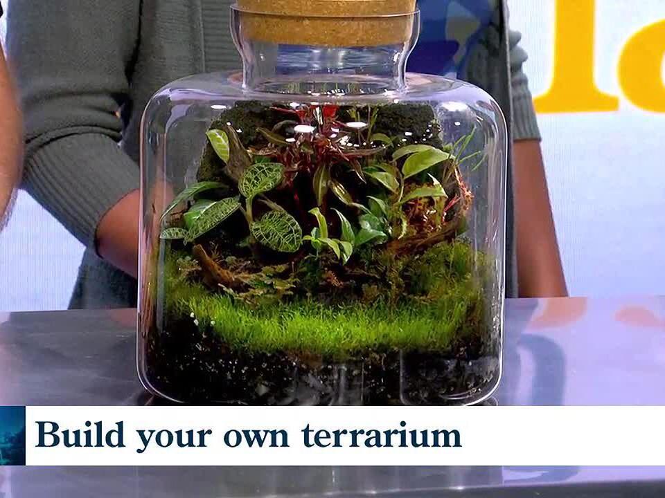 Pangaea Brewing Co. hosts DIY terrarium workshop