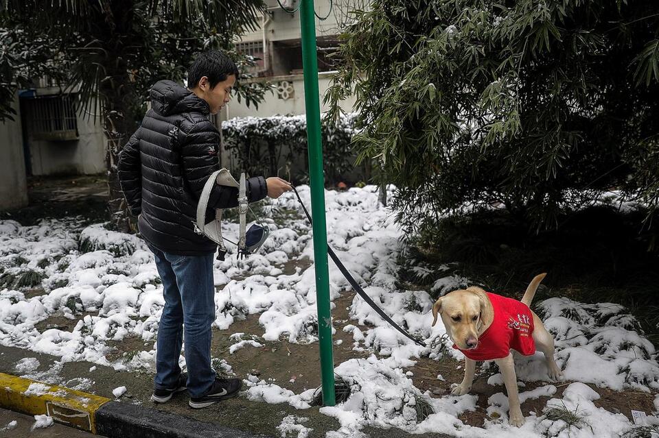 Dog Logic 101: Must Spin. Must Poop. Must Be Proud. - NewsBreak