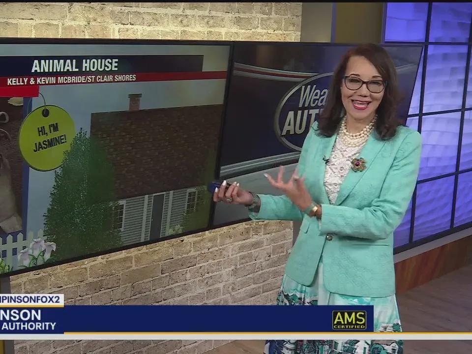 Welcome Jasmine Rose