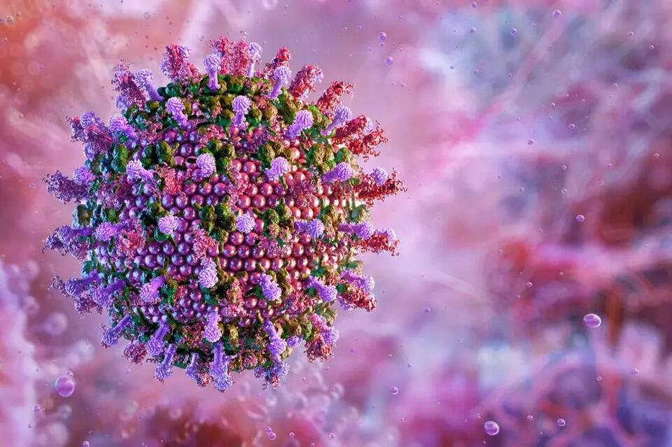 WARNING: Lethal First-of-Its-Kind Virus Is Now in the U.S. - NewsBreak