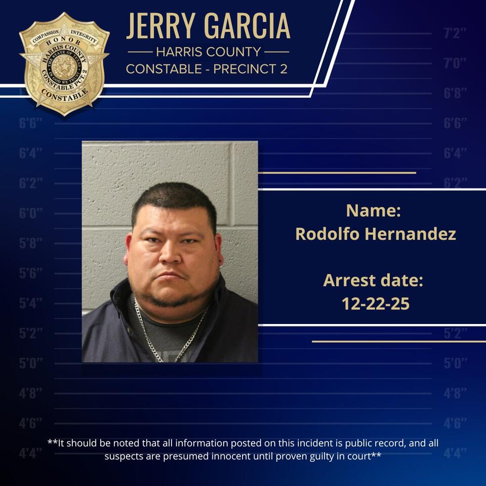 Rodolfo swerved and Precinct 2 served a plate of jail. That’s all I got ...