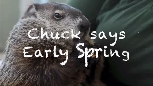 It’s official: Staten Island Chuck has predicted an early spring this ...