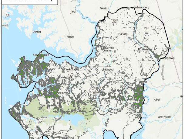 Wetlands map identifies areas that could be affected by sea level rise