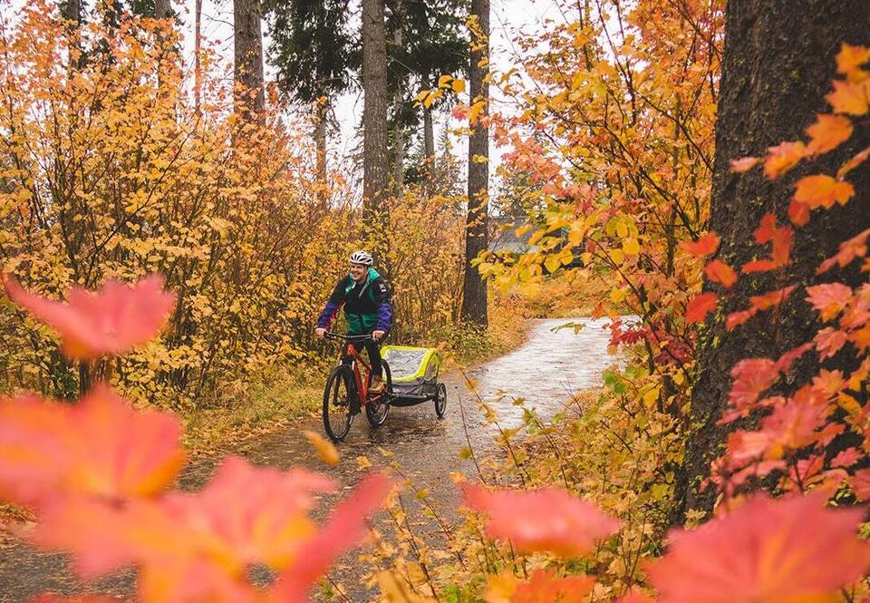 What to Do in Washington in October - NewsBreak