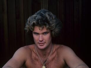 David Hasselhoff’s TV Son Looks Unrecognizable With Long Grey Beard At ...