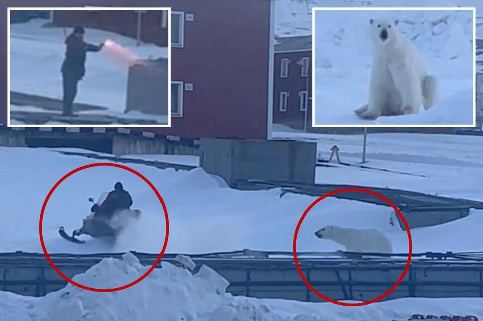 ‘Very brave’ man’s quick thinking helps him avoid death by polar bear ...