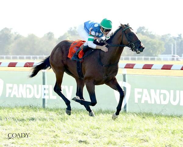 Road to Jeff Ruby Steaks begins Saturday as Street Beast leads field in ...