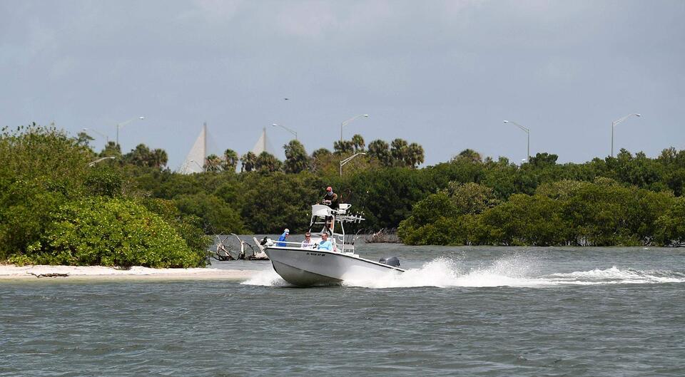 New Rattlesnake Key owner plans cruise terminal development near Skyway ...