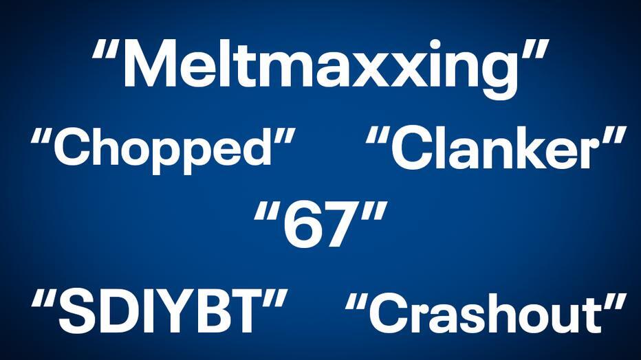 Gen Alpha slang in 2025: The meaning behind words like 'clanker,' '67,' 'crashout' - NewsBreak