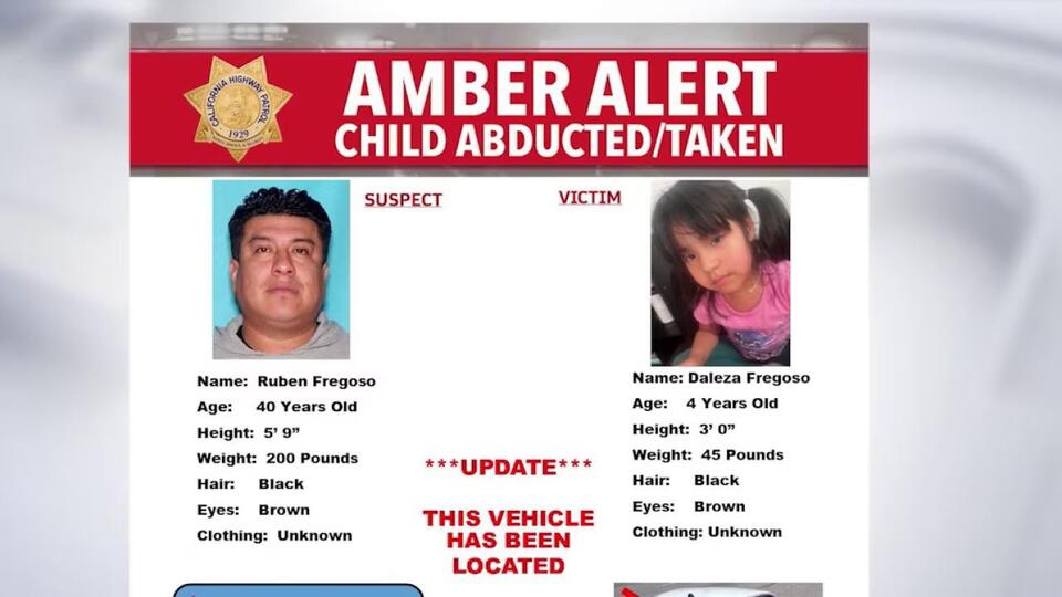 Amber Alert: 5-year-old missing after mother killed in South LA - NewsBreak