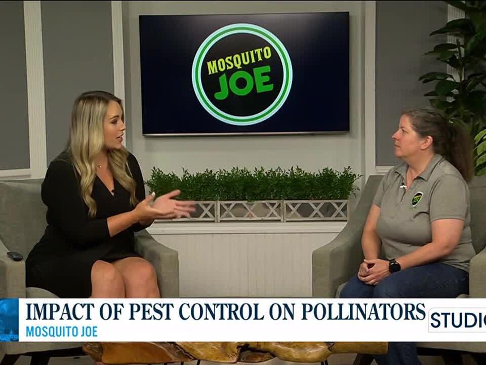 Mosquito Joe: Safer options for keeping bugs away