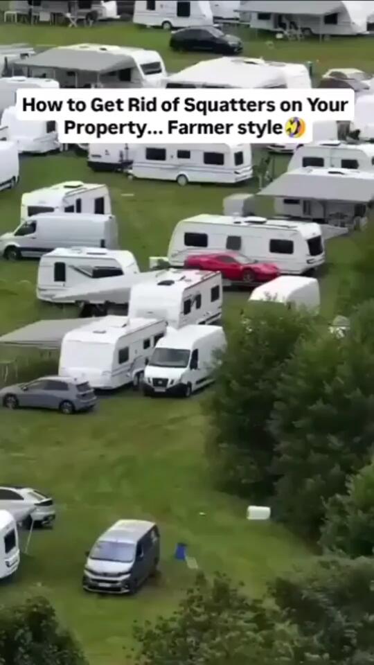 Most people are sickened by vibrio after eating raw or undercooked ...