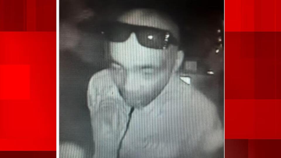 Man accused of attacking RTA bus driver after trying to board without ...