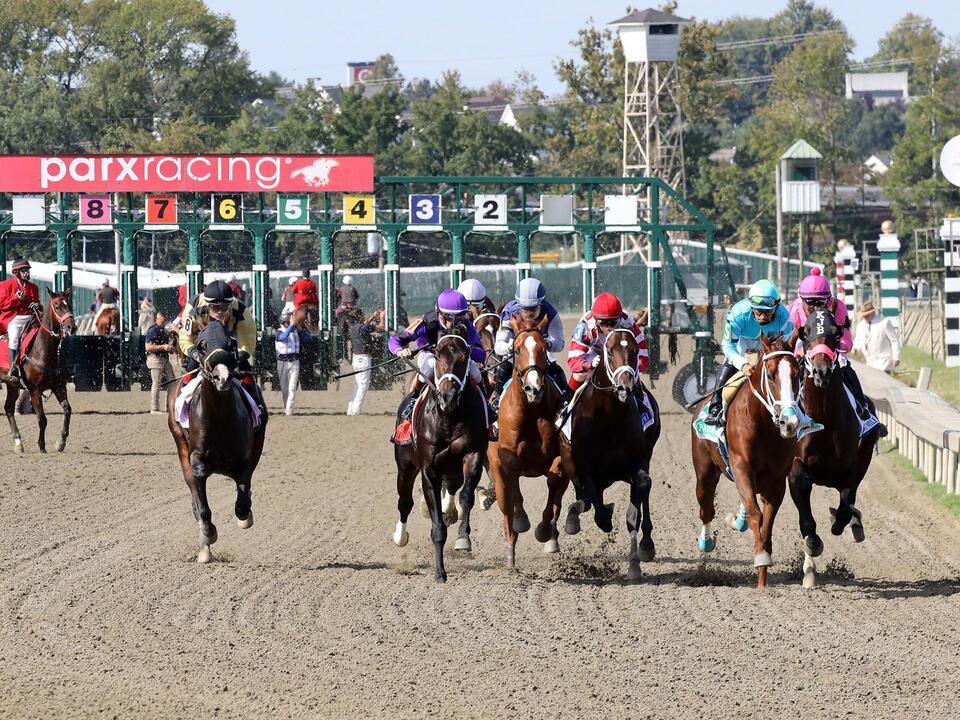 Riderless Horse Causes Scary Spill At Parx - NewsBreak
