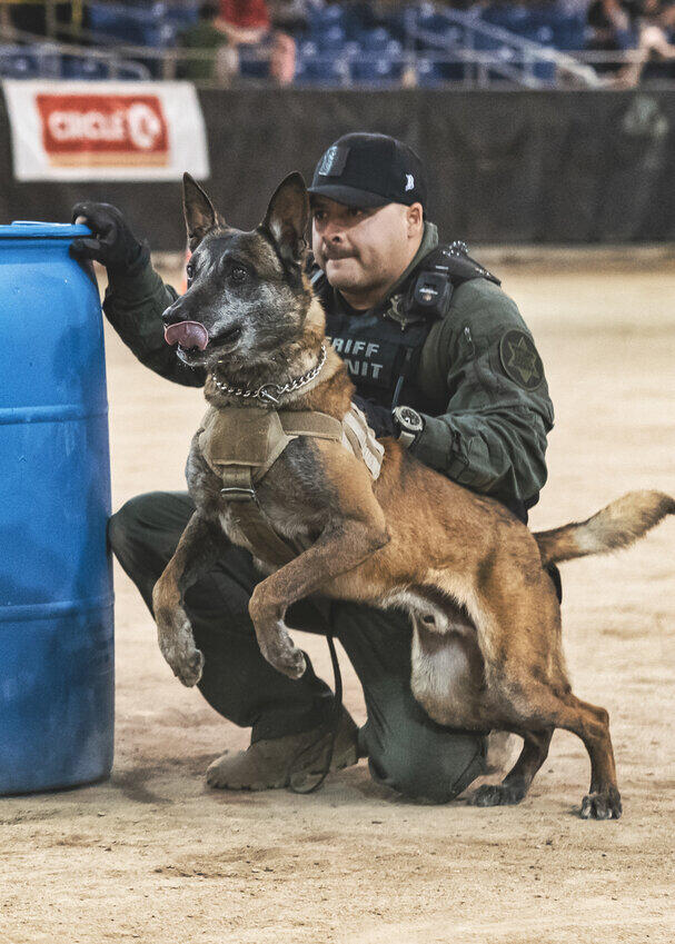 Scottsdale Police dog among winners at the Arizona Law Enforcement ...