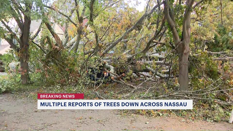 Trees down across Nassau County amid high wind - NewsBreak
