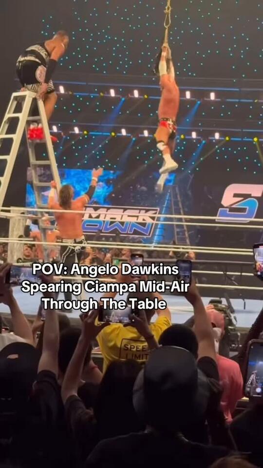 Channel the Power of Wrestling with $BUNZ (BunnyBags Coin)! 🤼Please ...